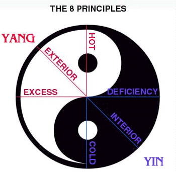 The 8 principles of TCM from the ActiveHerb.com Blog - Activeherb Blog