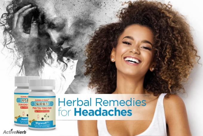 TCM Formulas for Head Support - Activeherb Blog