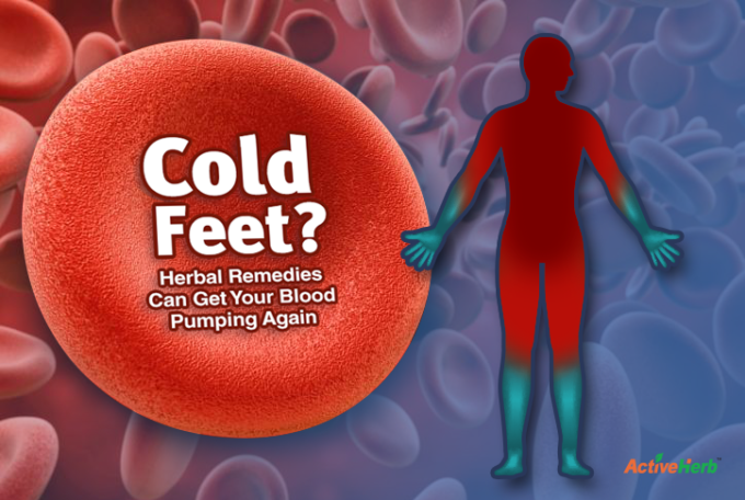 Cold Feet? These 3 Herbal Formulas Support Blood Circulation ...