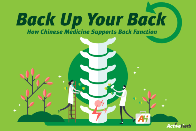Back Up Your Back: How Chinese Medicine Supports Back Function ...