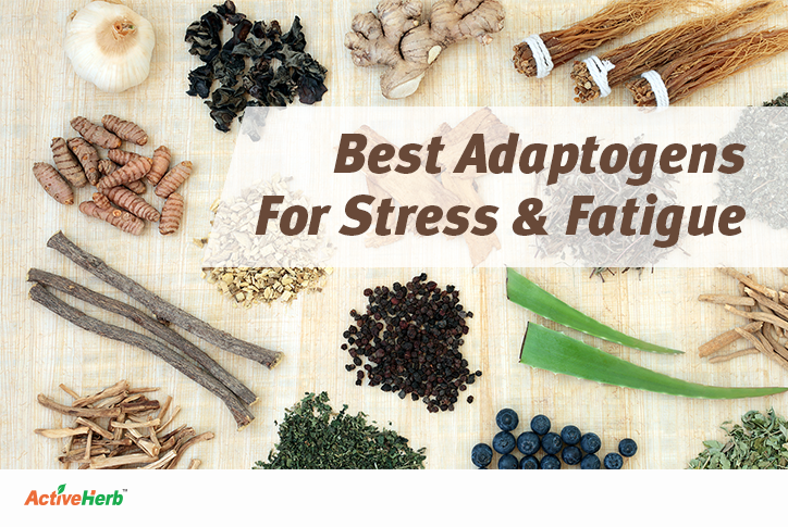 adaptogens - Activeherb Blog