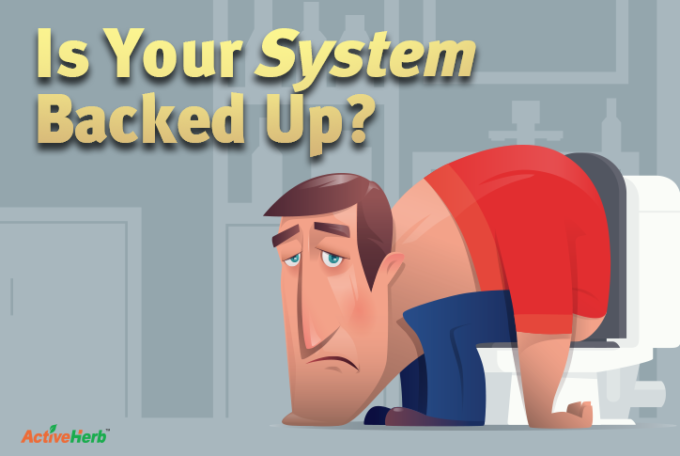 Is Your System Backed Up? Let TCM Ease Bowel Movement - Activeherb Blog