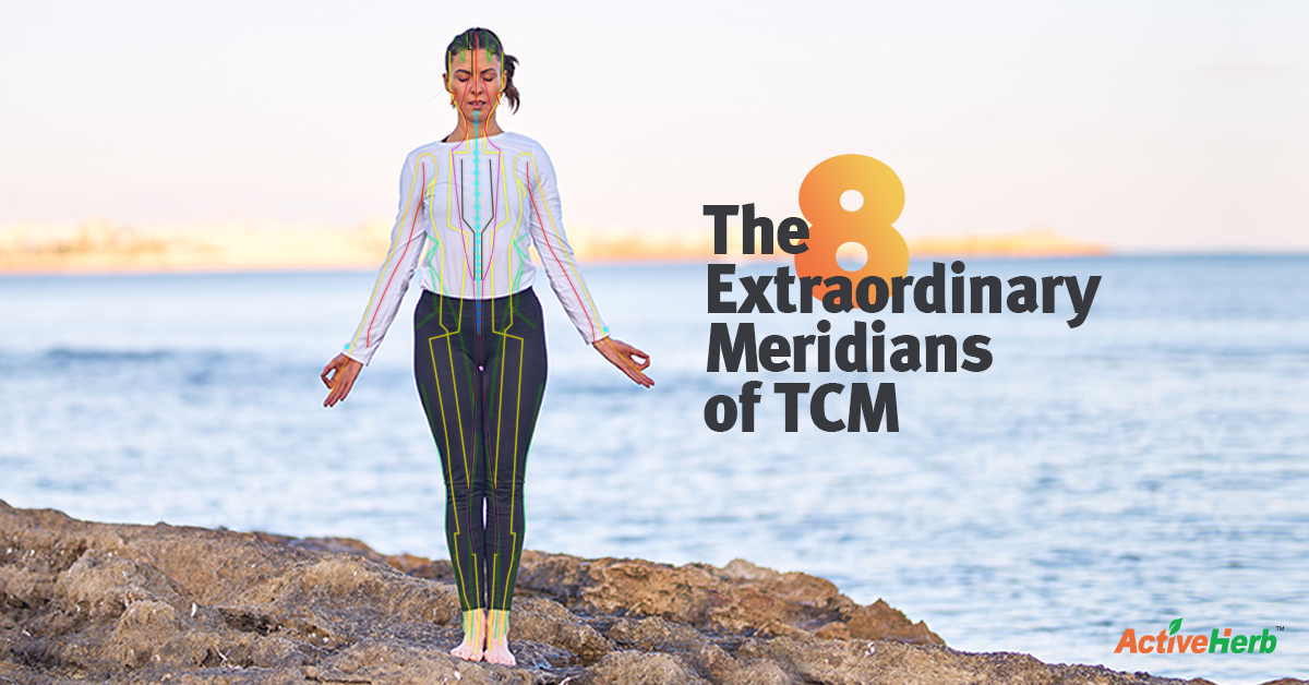 What Are The 8 Extraordinary Meridians of TCM? - Activeherb Blog