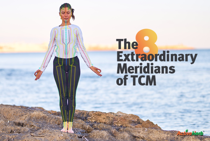 What Are The 8 Extraordinary Meridians of TCM? - Activeherb Blog