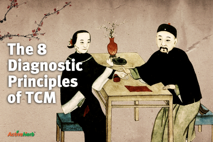 The 8 Diagnostic Principles of TCM - Activeherb Blog