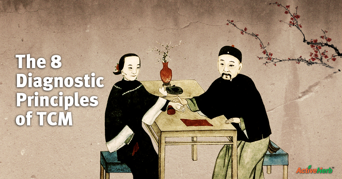 The 8 Diagnostic Principles of TCM - Activeherb Blog