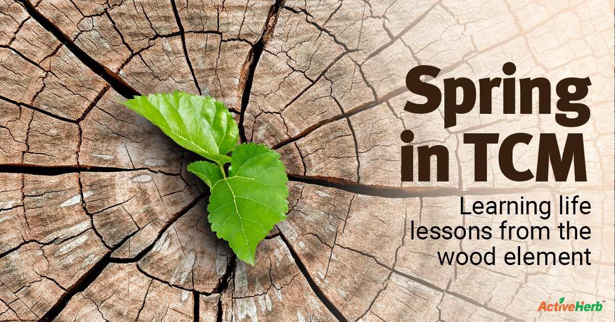 Spring in TCM: Learning Life Lessons From The Wood Element - Activeherb ...