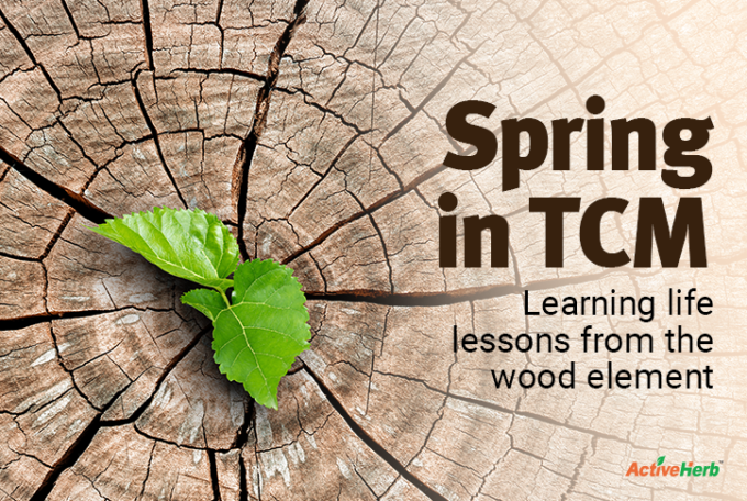 Spring in TCM: Learning Life Lessons From The Wood Element - Activeherb ...