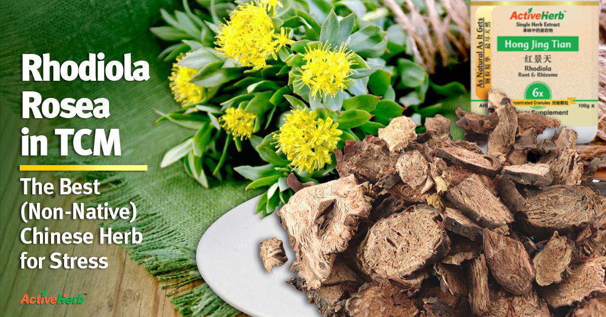 Rhodiola Rosea In TCM - The Best (Non-Native) Chinese Herb for Stress ...