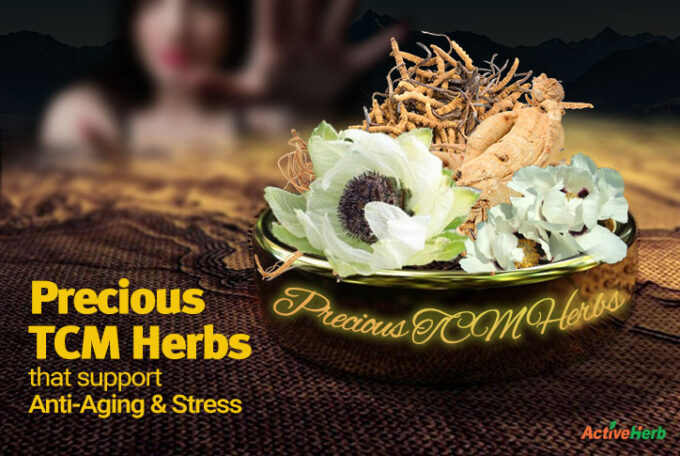 Activeherb Blog - Activeherb Blog for Traditional Chinese Medicine