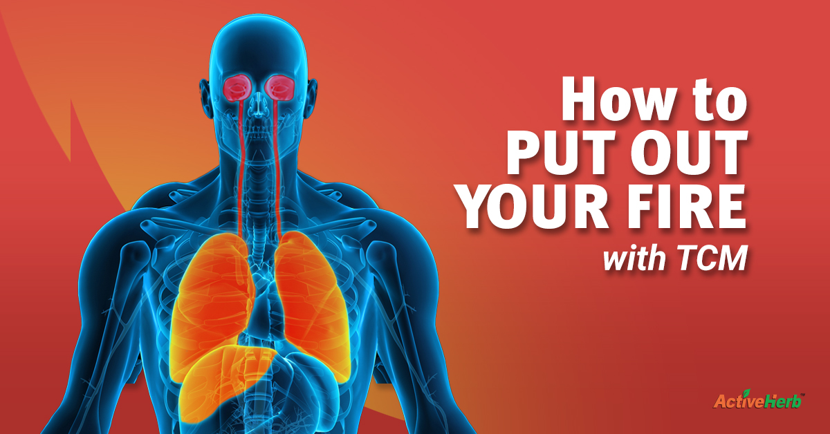 You’re Fired! How To “Put Out” Your Fire In Traditional Chinese ...