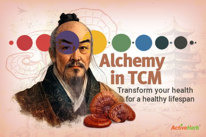 Alchemy in TCM: Transform Your Health For A Healthy Lifespan - Activeherb Blog