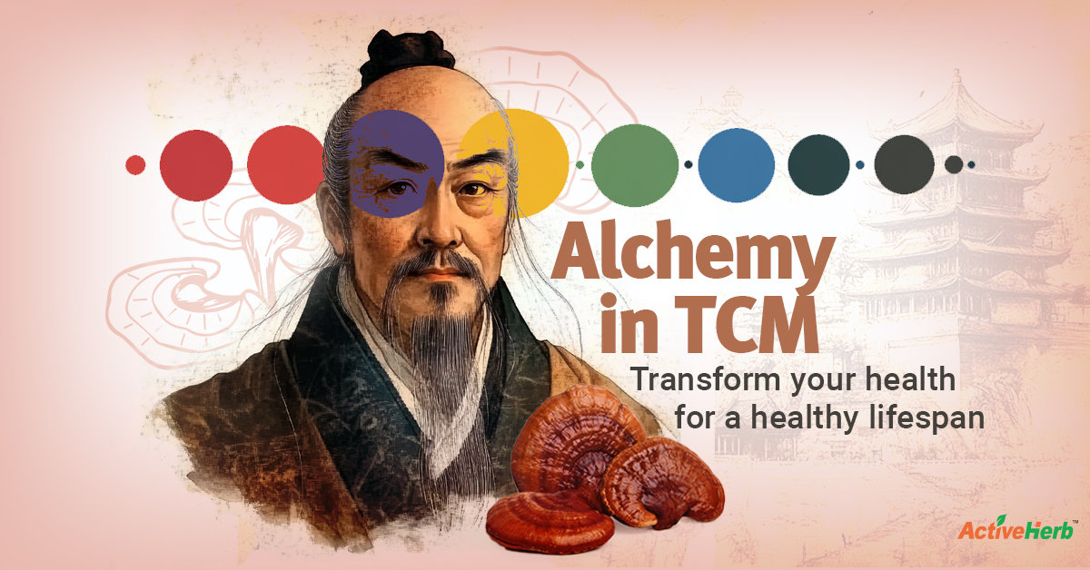 Alchemy in TCM: Transform Your Health For A Healthy Lifespan ...
