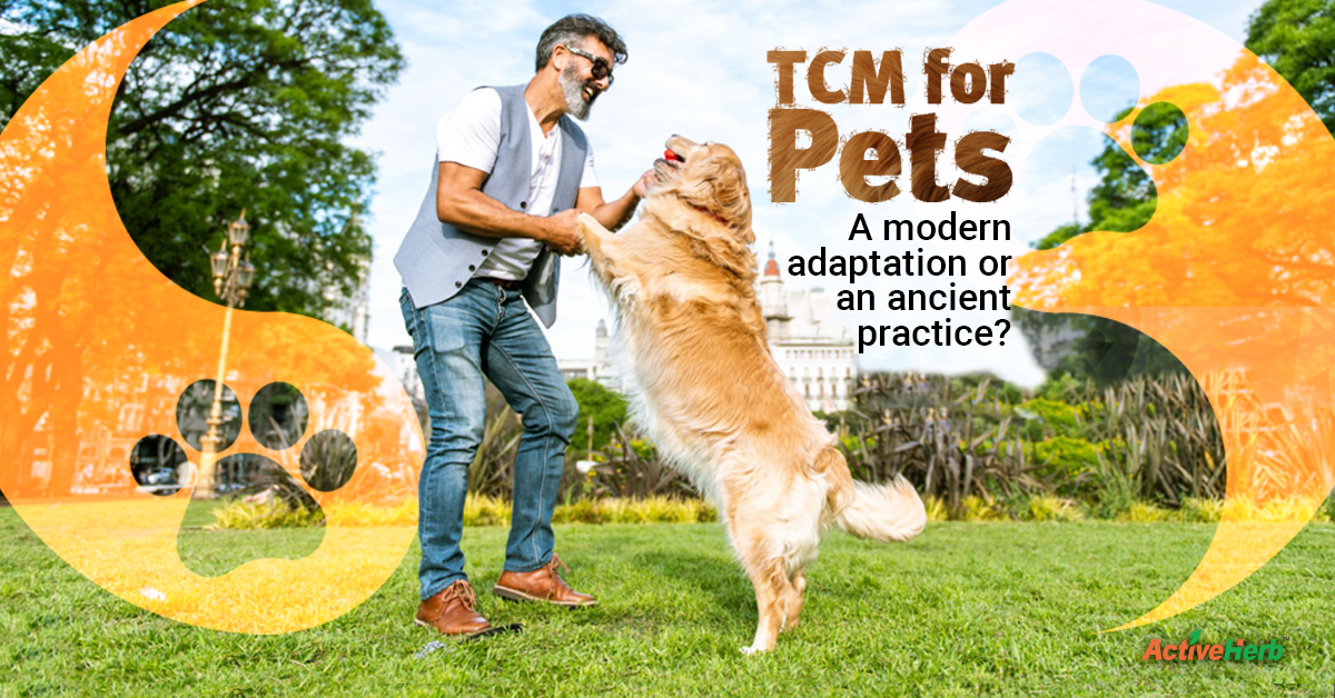TCM For Pets: A Modern Adaptation Or An Ancient Practice? - Activeherb Blog