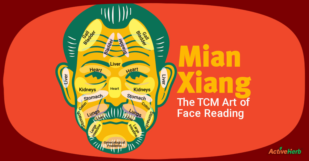 Mian Xiang: The TCM Art of Face Reading - Activeherb Blog