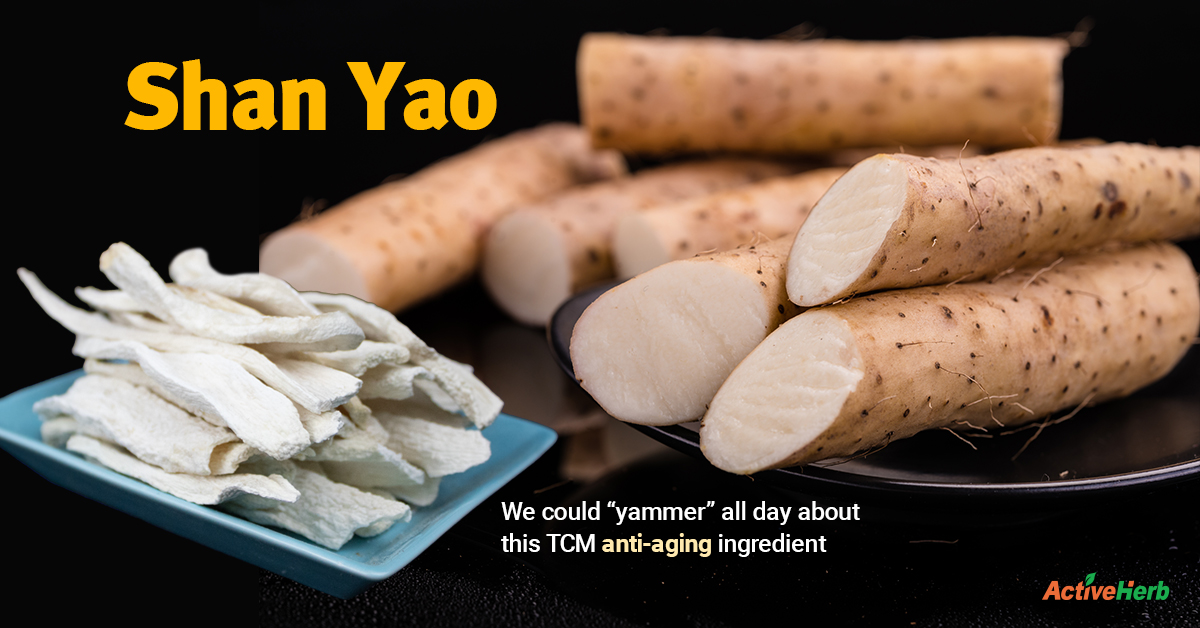 Shan Yao in TCM: Move Over Sweet Potatoes: The Real Yam That Supports ...