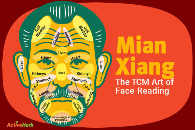 Mian Xiang: The TCM Art of Face Reading - Activeherb Blog