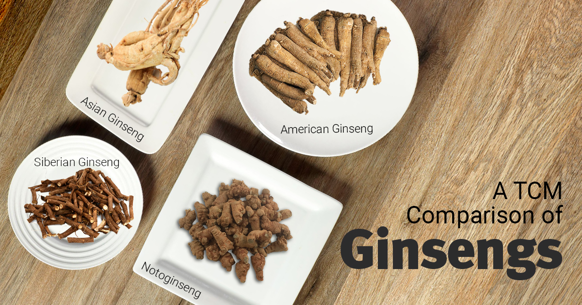 A TCM Comparison of Ginsengs - Activeherb Blog