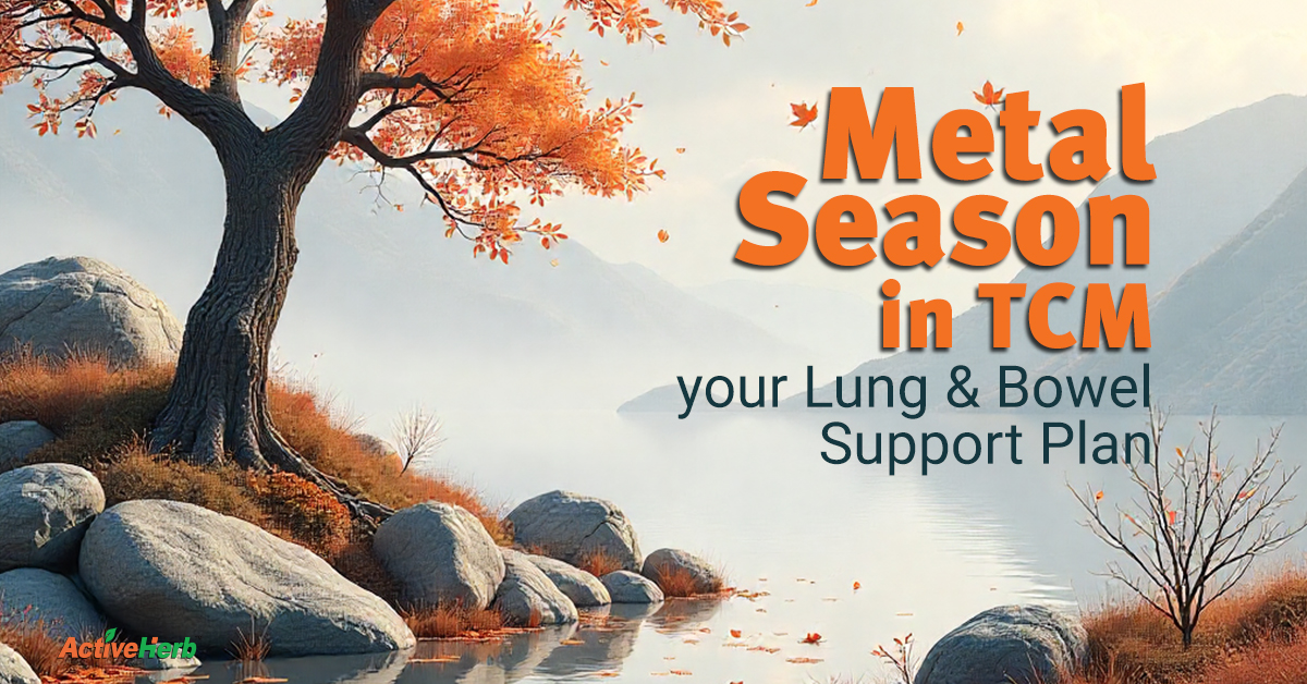 Metal Season Guide: Five-Element Support for Fall - Activeherb Blog