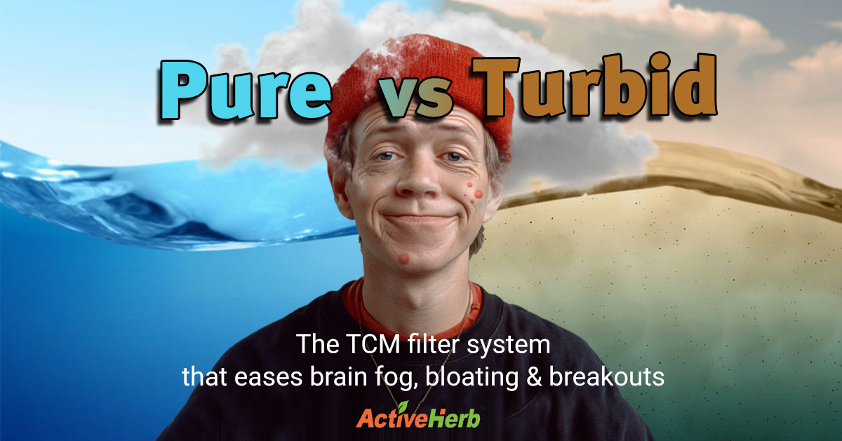 Pure vs Turbid: The TCM Filter System That Eases Brain Fog, Bloating ...