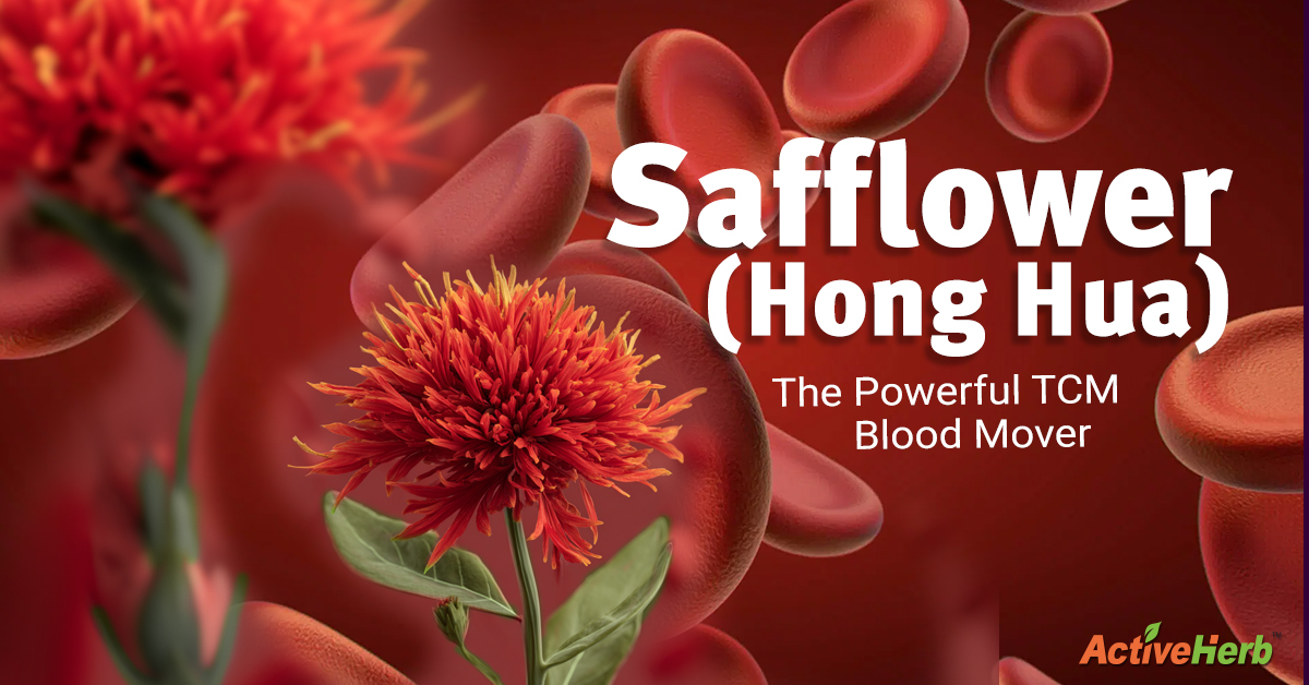 Safflower (Hong Hua): The Powerful TCM Blood Mover - Activeherb Blog