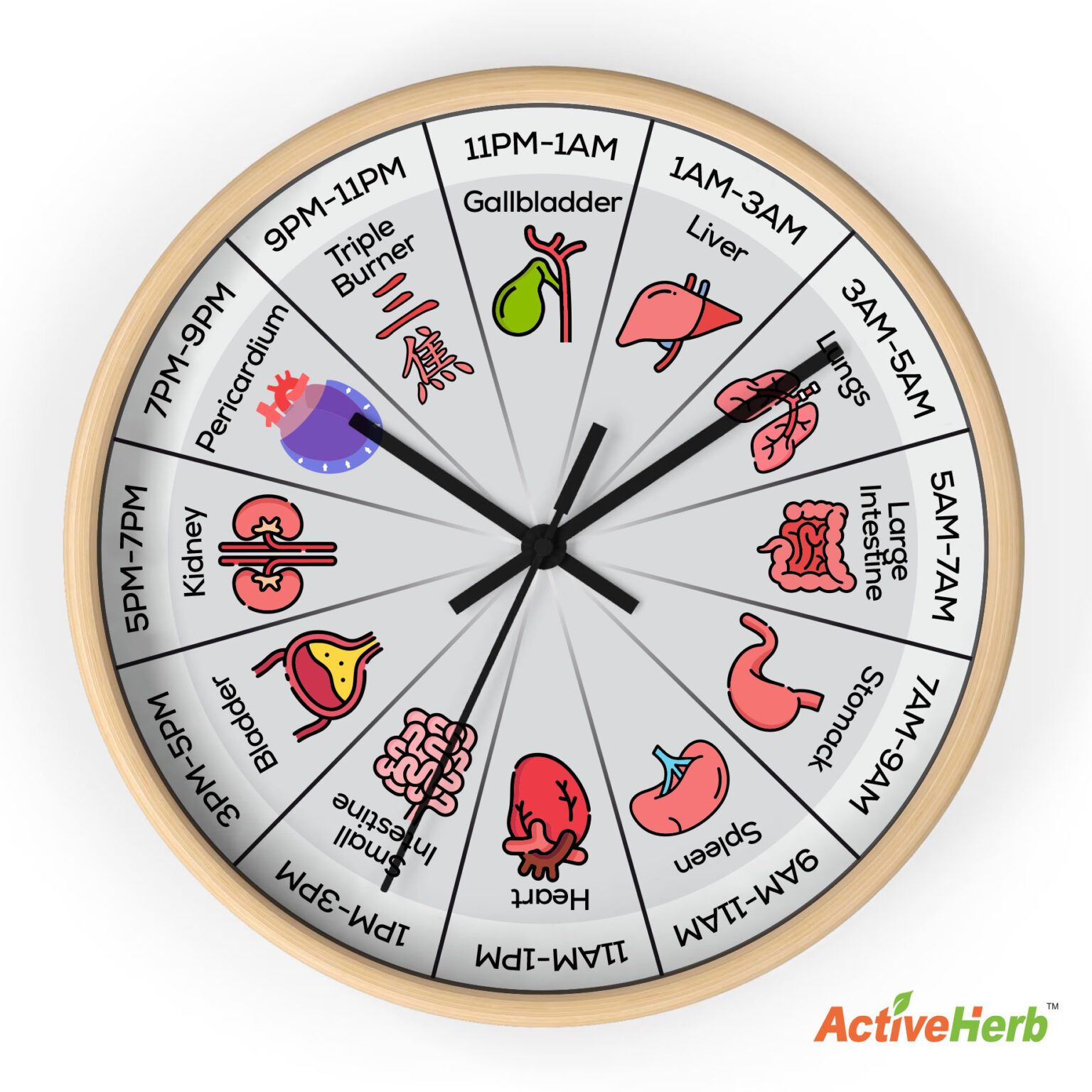 Is It Time For A TCM Organ Reset? Using the TCM Clock For Yin/Yang ...