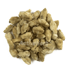 Xin Yi (Magnolia Flower, Flos Magnoliae, 辛夷) bulk Chinese herb - ActiveHerb