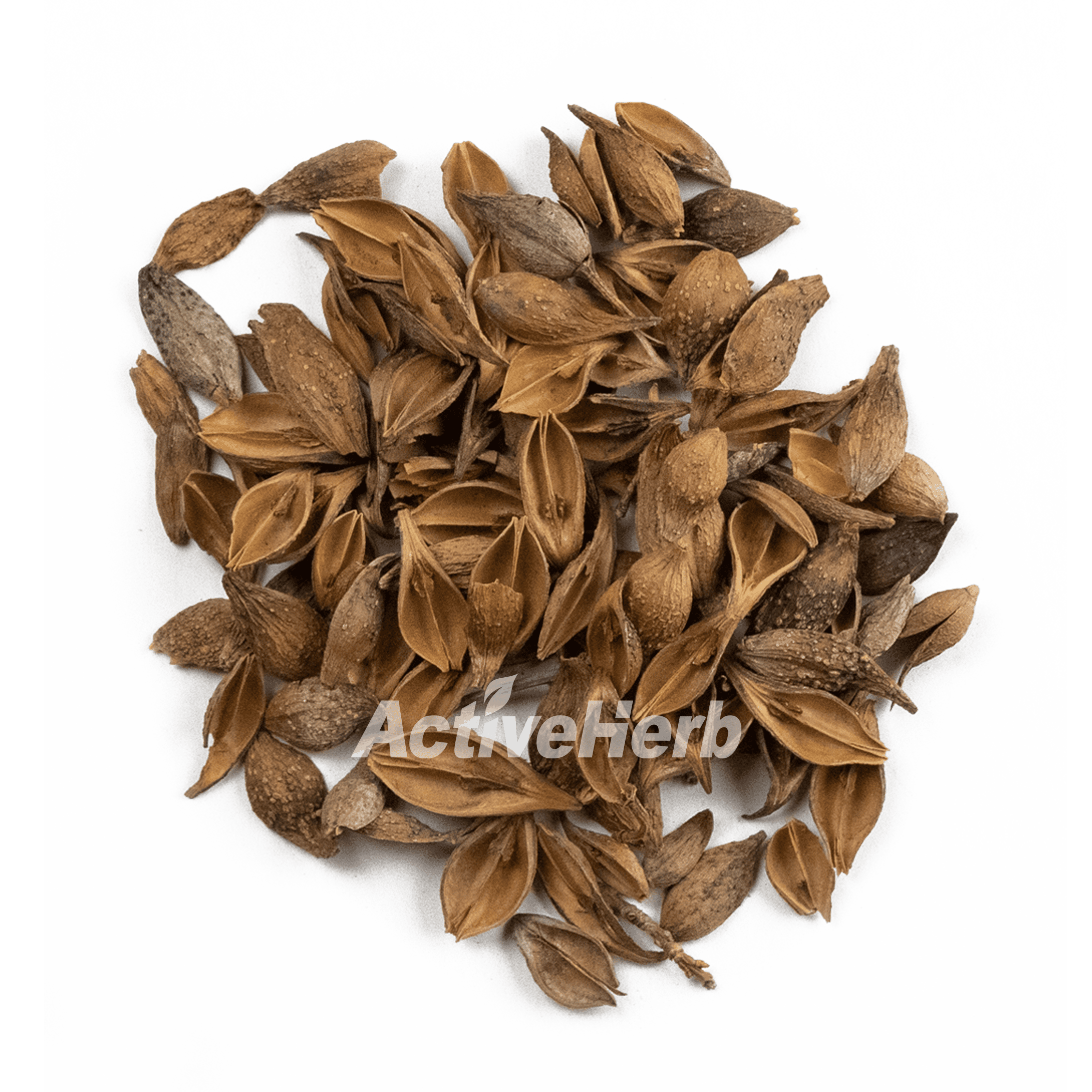 Lian Qiao (Forsynthia Fruit, Fructus Forsythiae, 连翘) bulk Chinese herb ...
