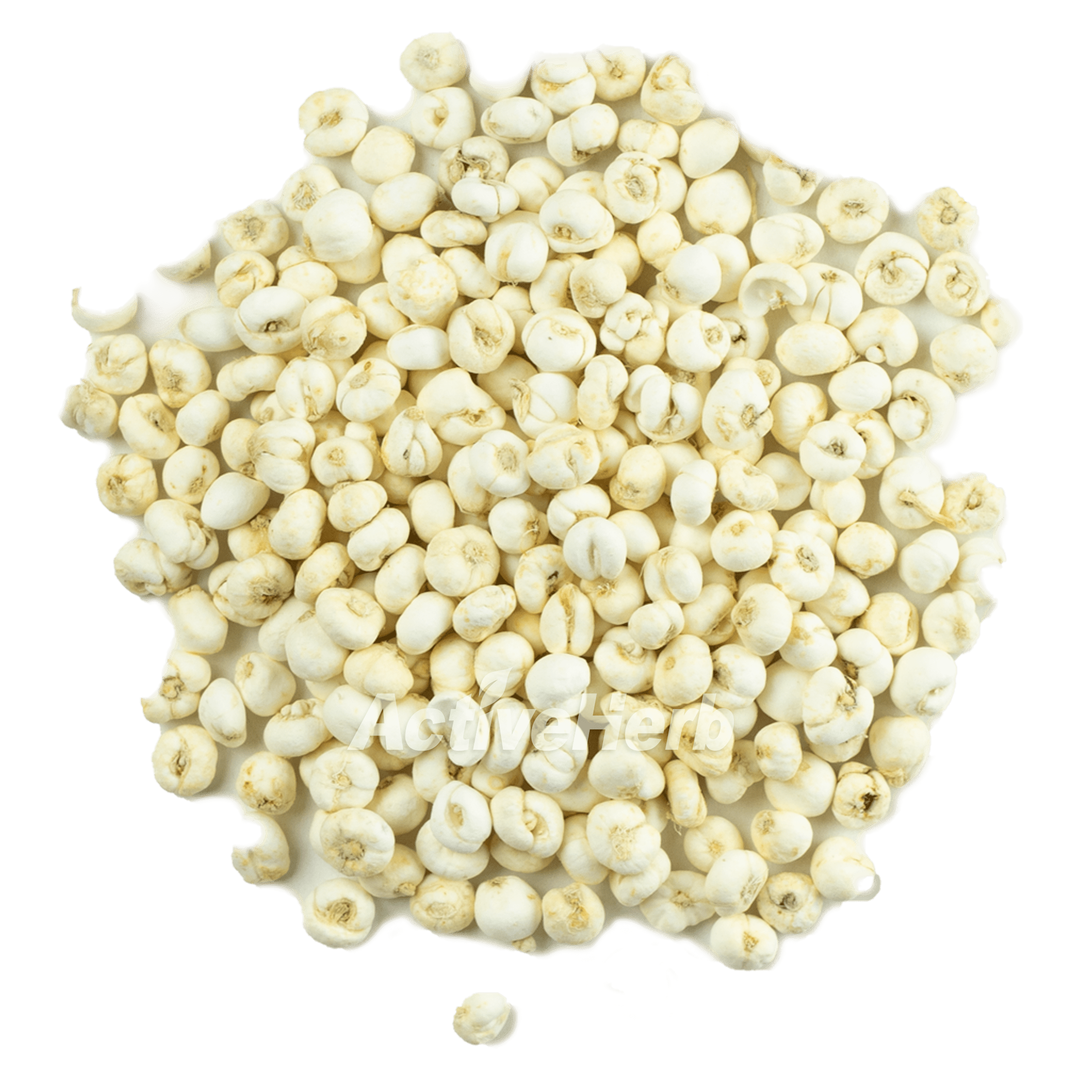 Chuan Bei Mu (Tendrilleaf Fritillary Bulb, Bulbus Fritillariae ...