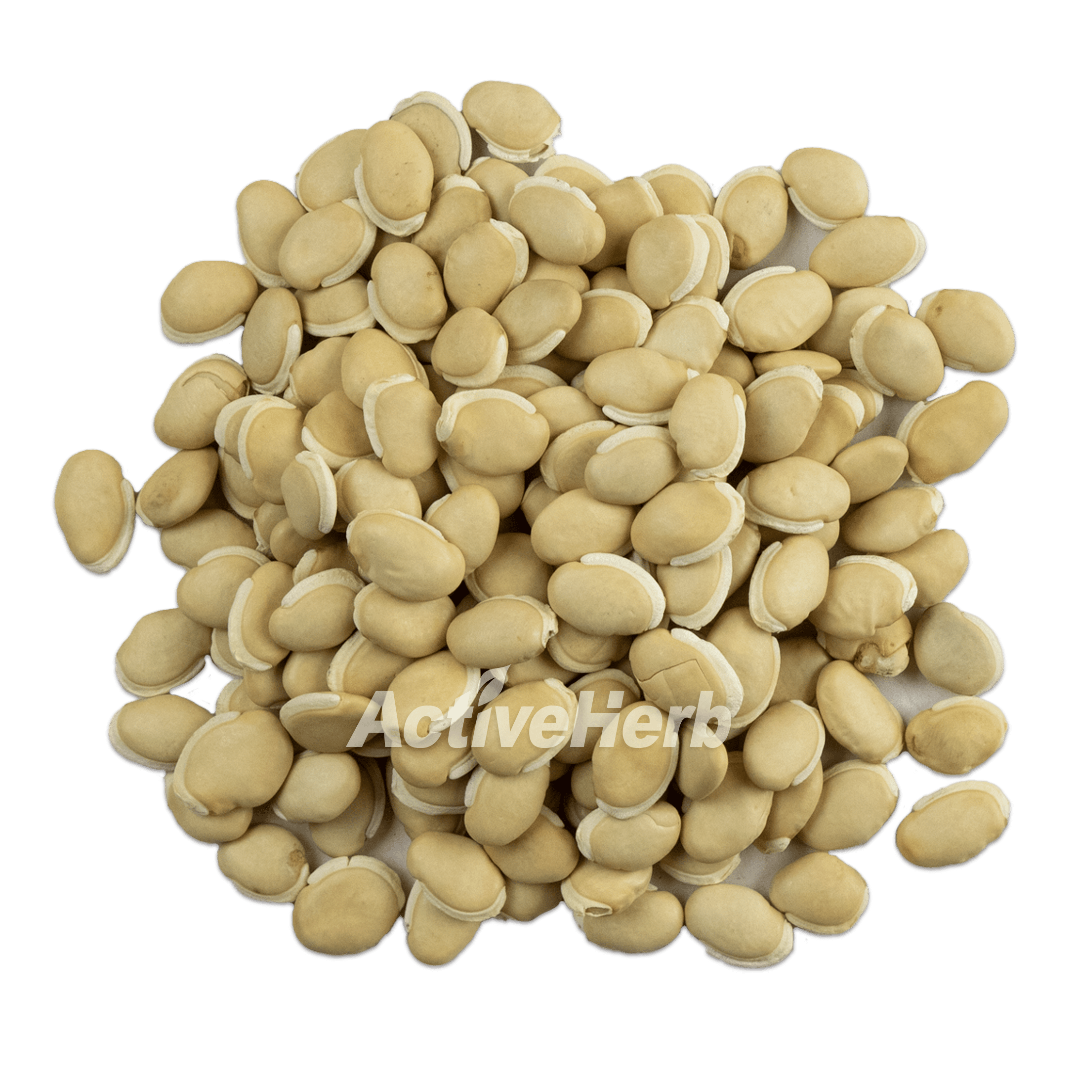 Bai Bian Dou (Hyacinth Bean, Semen Lablab Album, 白扁豆) bulk Chinese herb ...