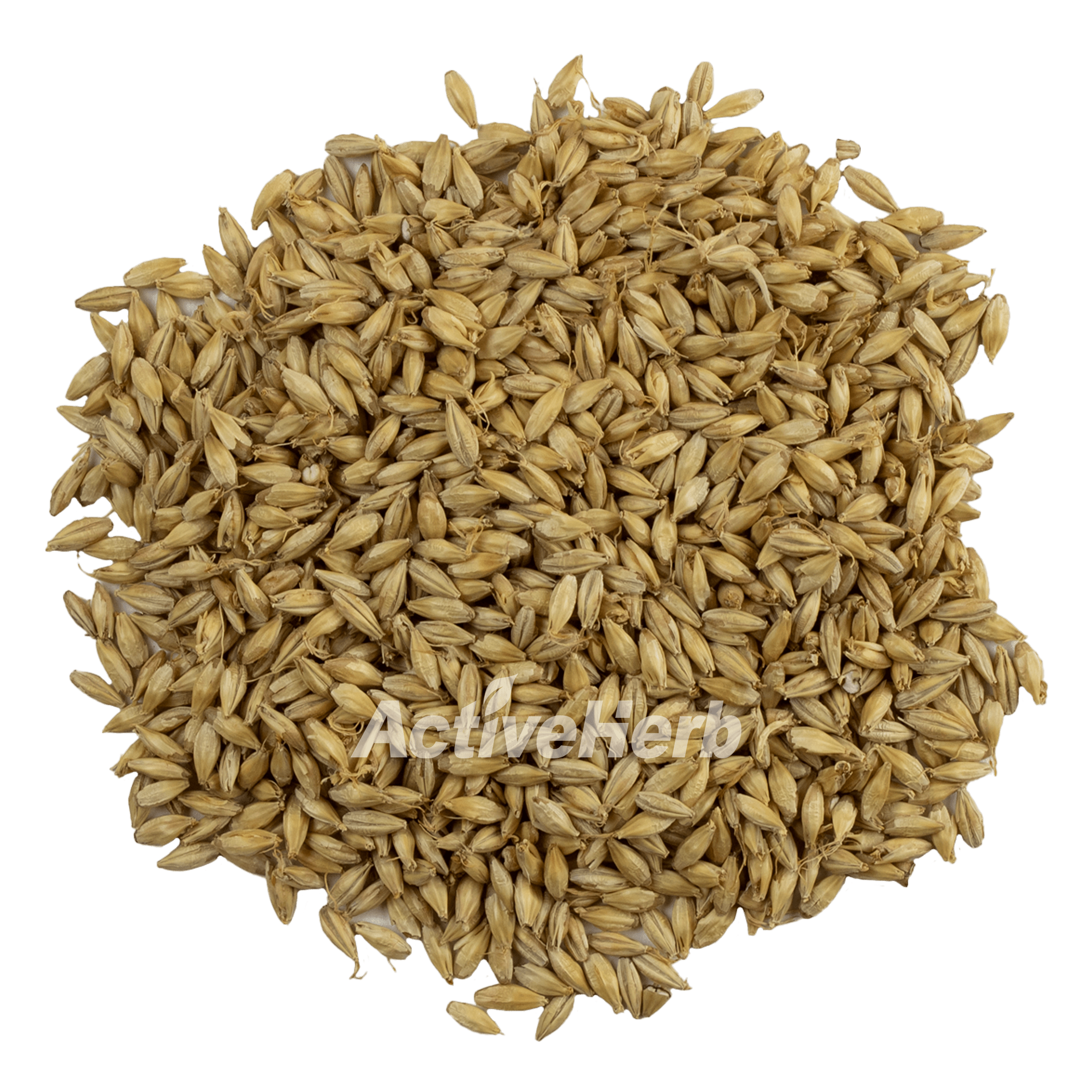 Mai Ya (Barley Sprout, Fructus Hordei Germinatus, 麦芽) bulk Chinese herb ...