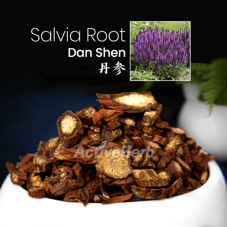 Dan Shen (Salvia Root, Radix Salviae Miltiorrhizae, 丹参) bulk Chinese ...