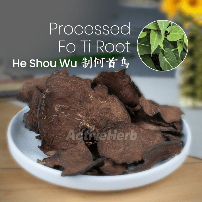 He Shou Wu (Processed Fo Ti Root, Radix Polygoni Multiflori Preparata ...