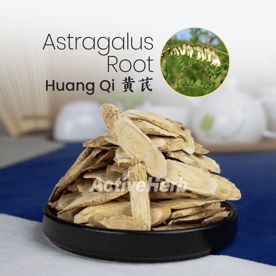 Huang Qi (Astragalus Root, Radix Astragali, 黄芪) bulk Chinese herb ...