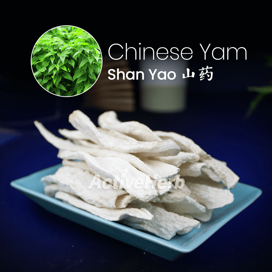 Shan Yao (Chinese Yam, Rhizoma Dioscoreae, 山药) bulk Chinese herb ...