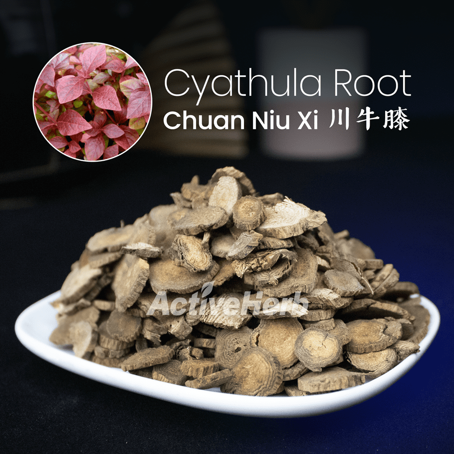 Chuan Niu Xi (Cyathula Root, Radix Cyathulae, 川牛膝) bulk Chinese herb ...