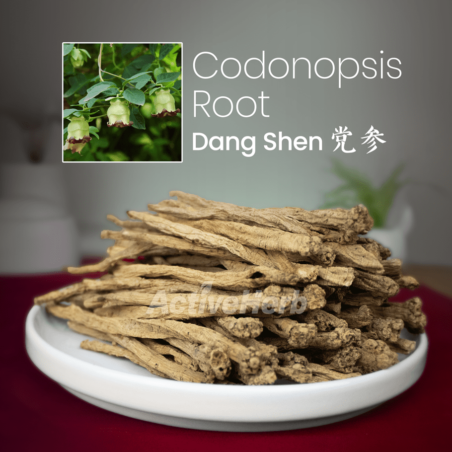 Dang Shen (Codonopsis Root, Radix Codonopsis, 党参) bulk Chinese herb ...