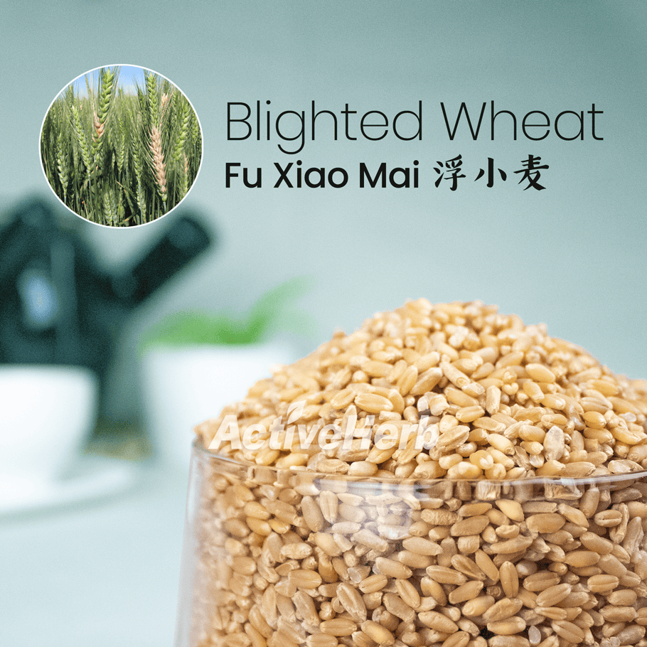 Fu Xiao Mai (Blighted Wheat, Fructus Tritici Levis, 浮小麦) bulk Chinese herb - ActiveHerb