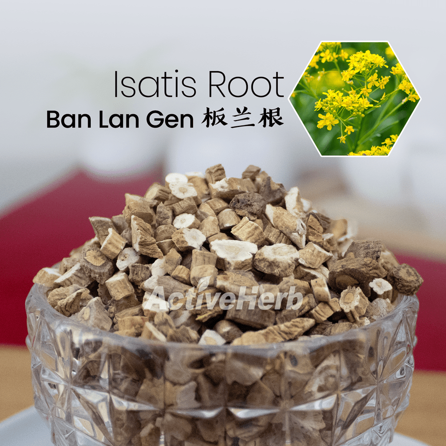 Ban Lan Gen (Isatis Root, Radix Isatidis, 板兰根) bulk Chinese herb ...