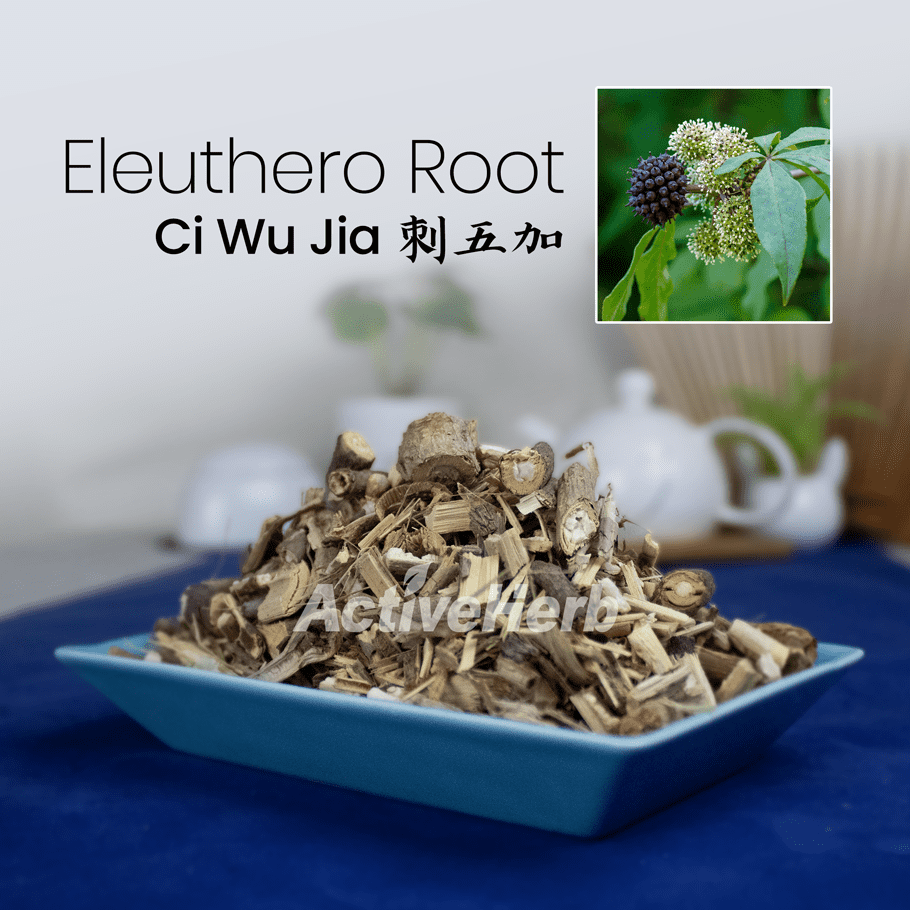 Ci Wu Jia (Eleuthero Root, Radix Eleutherococci Senticosi, 刺五加) bulk ...