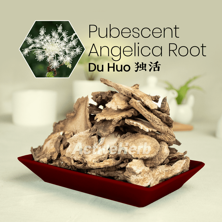 Du Huo (Pubescent Angelica Root, Radix Angelicae Pubescentis, 独活) bulk ...