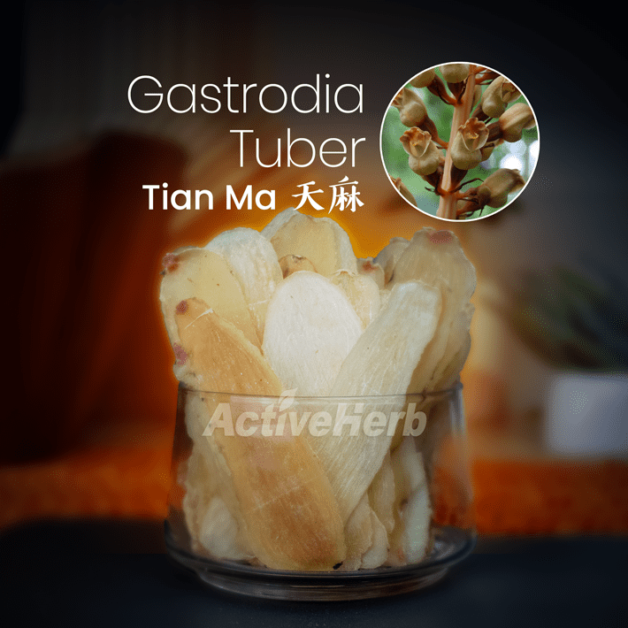 Tian Ma (Gastrodia Tuber, Rhizoma Gastrodiae, 天麻) bulk Chinese herb ...