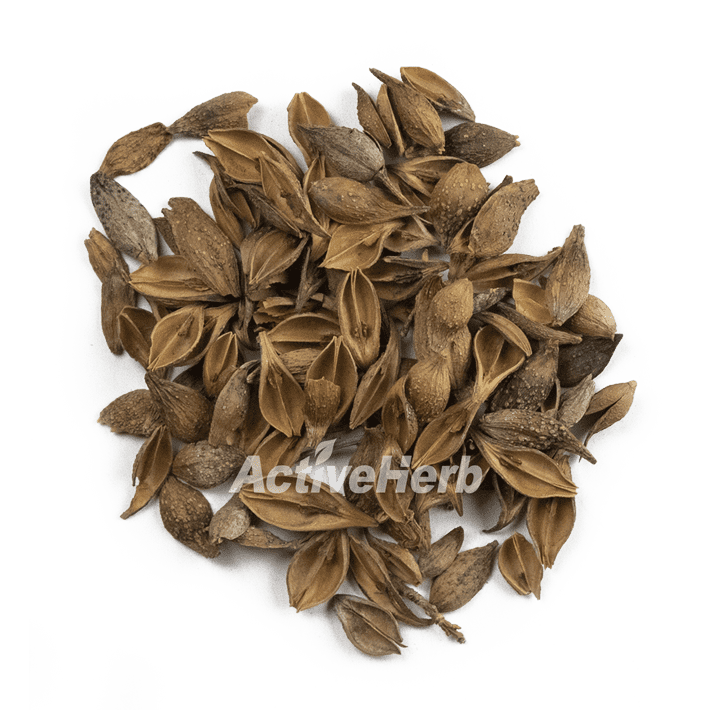 Lian Qiao (Forsythia Fruit, Fructus Forsythiae, 连翘) bulk Chinese herb ...