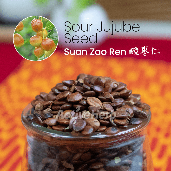 Suan Zao Ren (Sour Jujube Seed, Semen Ziziphi Spinosae, 酸枣仁) bulk ...