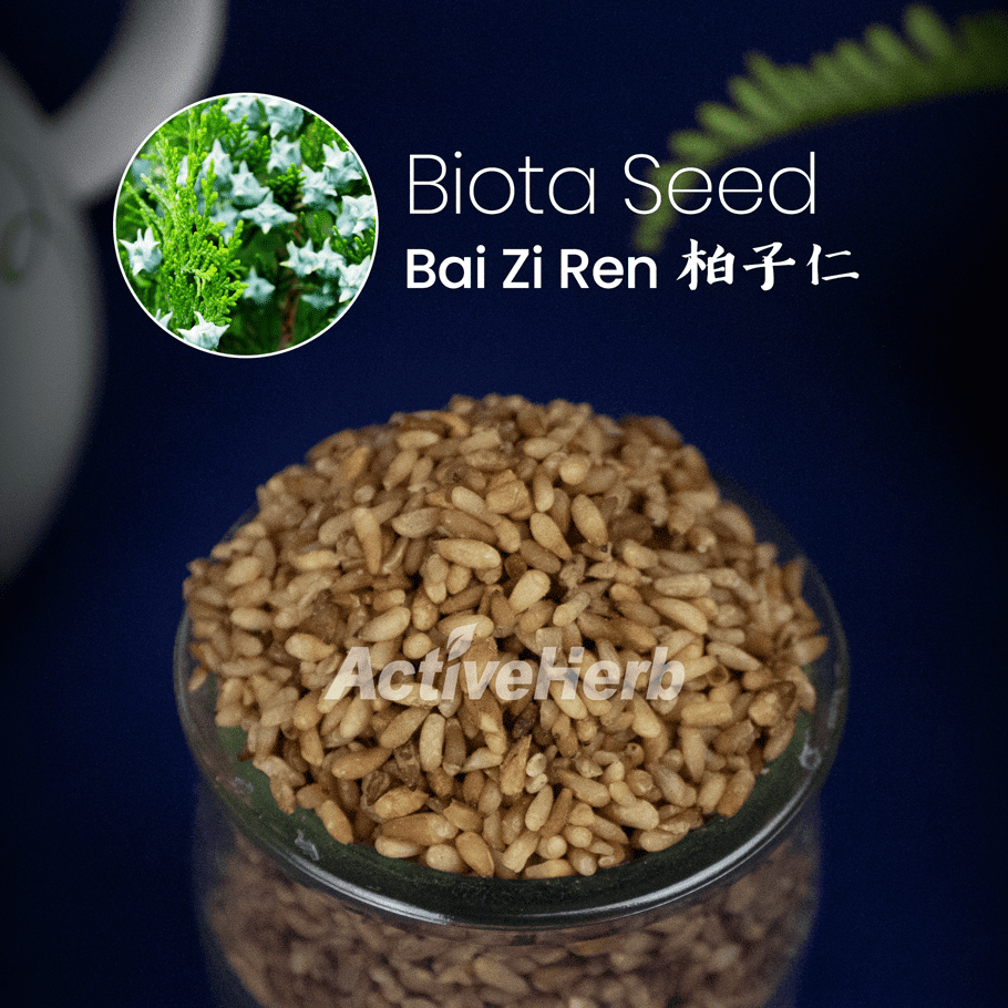 Bai Zi Ren (Bo Zi Ren, Biota Seed, Semen Platycladi, 柏子仁) bulk Chinese ...