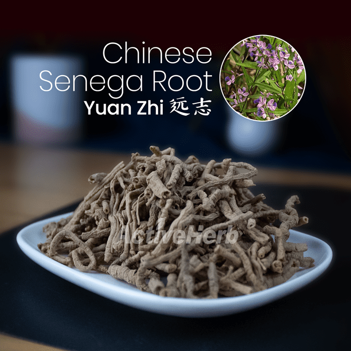 Yuan Zhi (Chinese Senega Root, Radix Polygalae, 远志) bulk Chinese herb ...