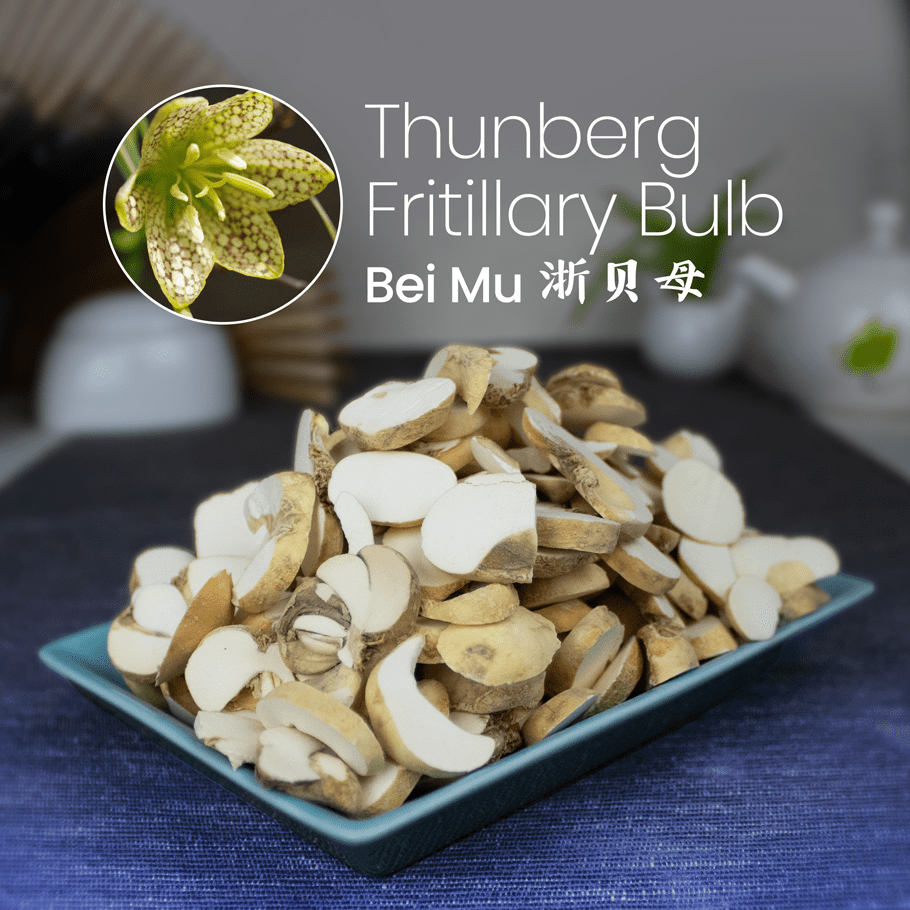 Bei Mu (Zhe) (Thunberg Fritillary Bulb, Bulbus Fritillariae Thunbergii ...