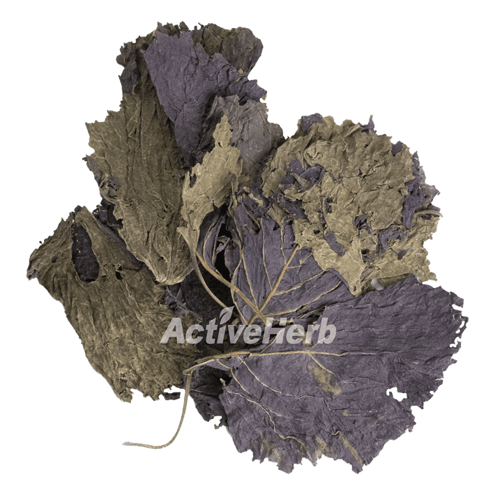 Zi Su Ye (Perilla Leaf, Folium Perillae, 紫苏叶) bulk Chinese herb ...