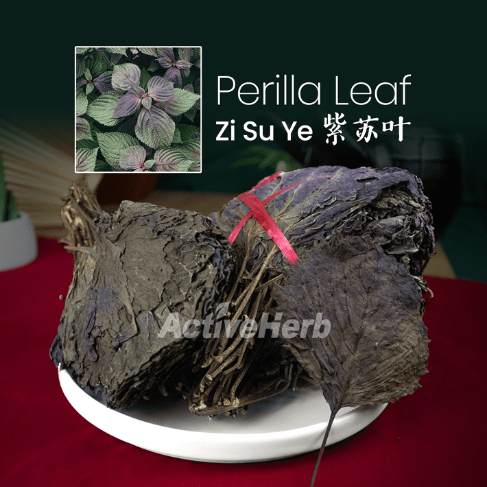 Zi Su Ye (Perilla Leaf, Folium Perillae, 紫苏叶) bulk Chinese herb ...
