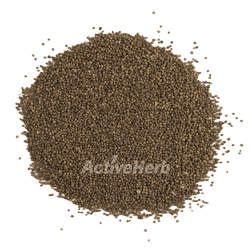 Zi Su Zi (Perilla Fruit, Fructus Perillae, 紫苏子) bulk Chinese herb ...